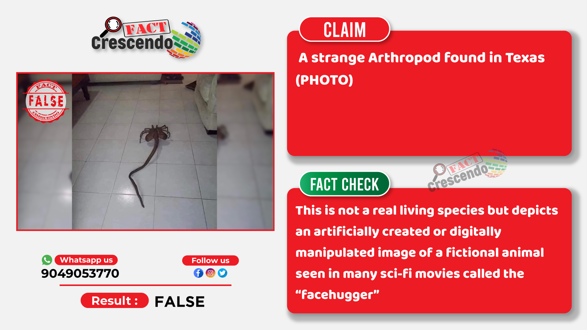 An alien looking strange Arthropods found in Texas ? Find out the facts ...