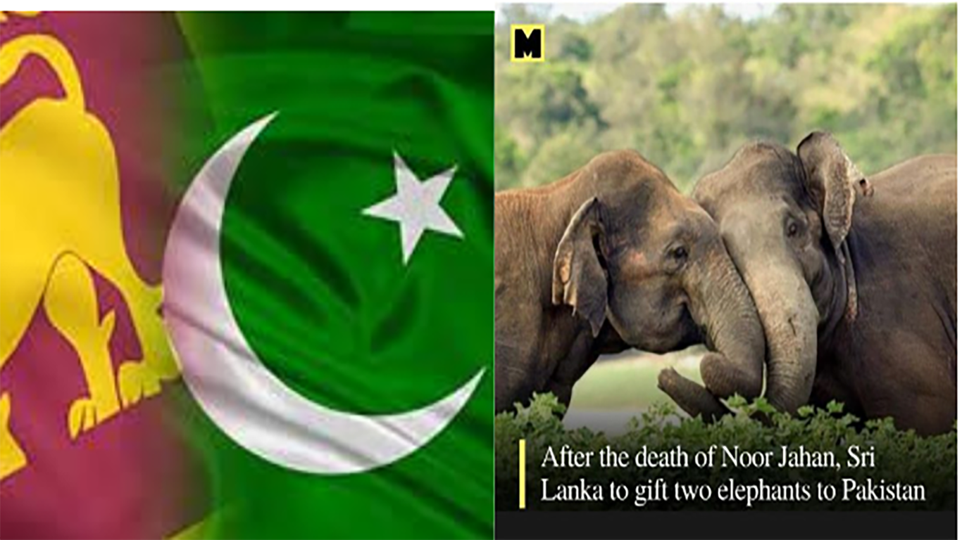 SL High Commission in Pakistan Strictly Denies Claims of Gifting Two ...