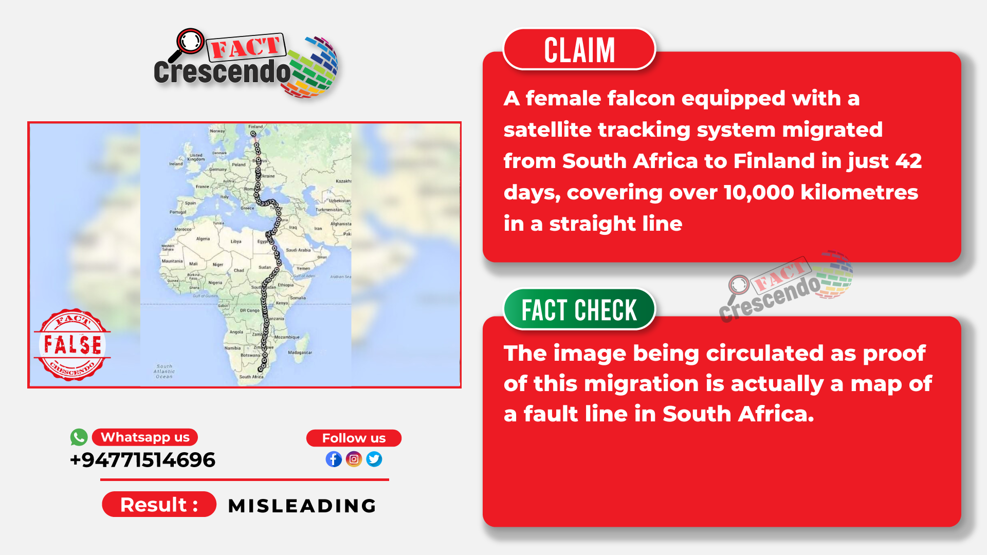Debunking Misleading Claims of A Falcon's Incredible Migration Map ...