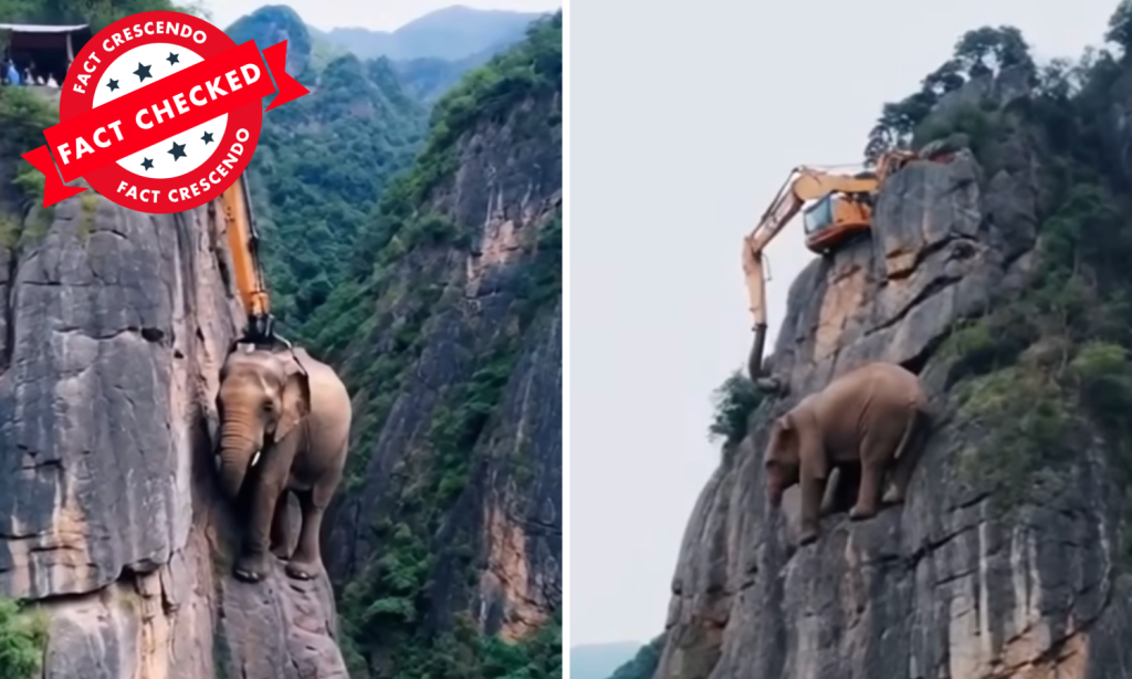 Viral Video of an Elephant Stuck on Cliff Is Edited - Fact Crescendo ...